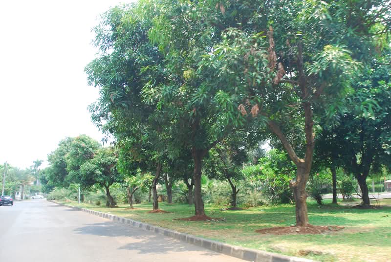 Taman Kedoya Baru Residence Dalchaebi