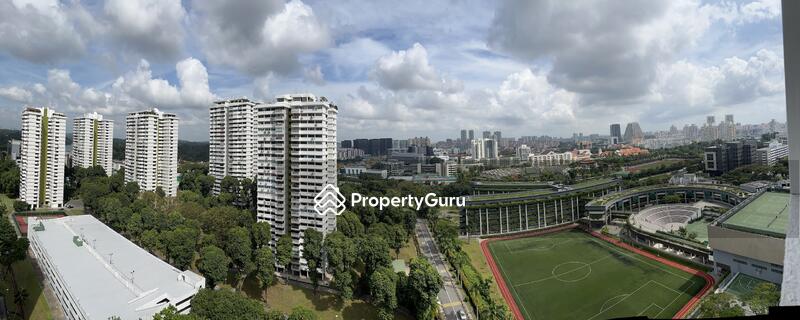 Braddell View Apartment Details in Ang Mo Kio / Bishan / Thomson